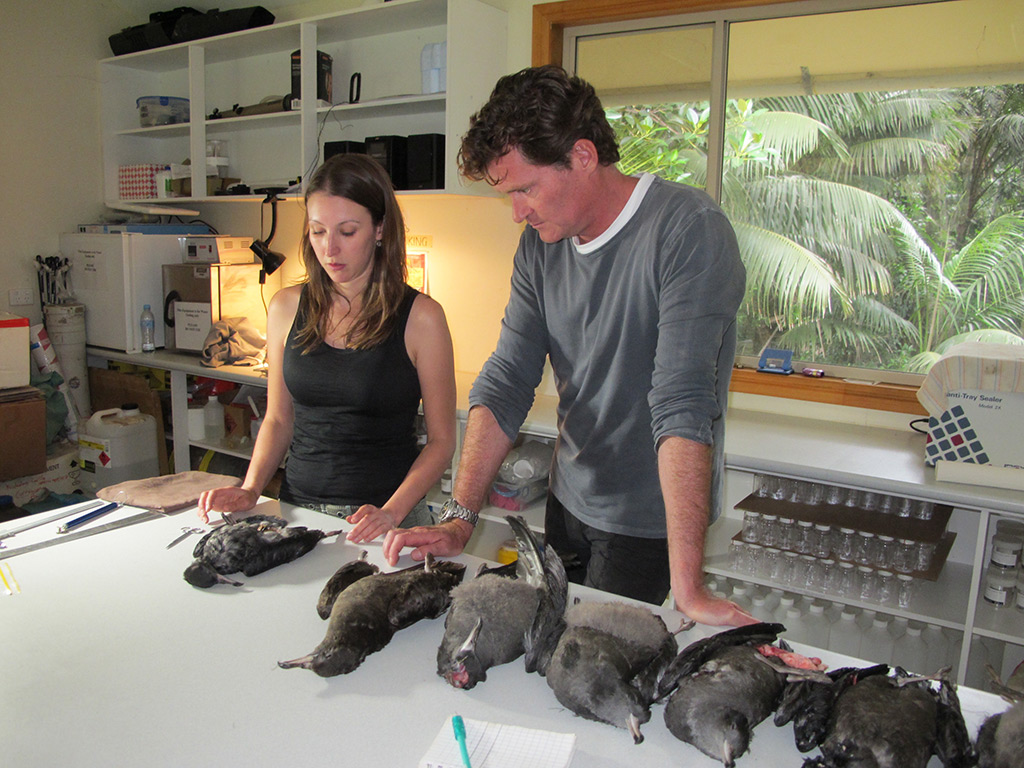 A Plastic Ocean – Interview with director Craig Leeson – Röchling Stiftung